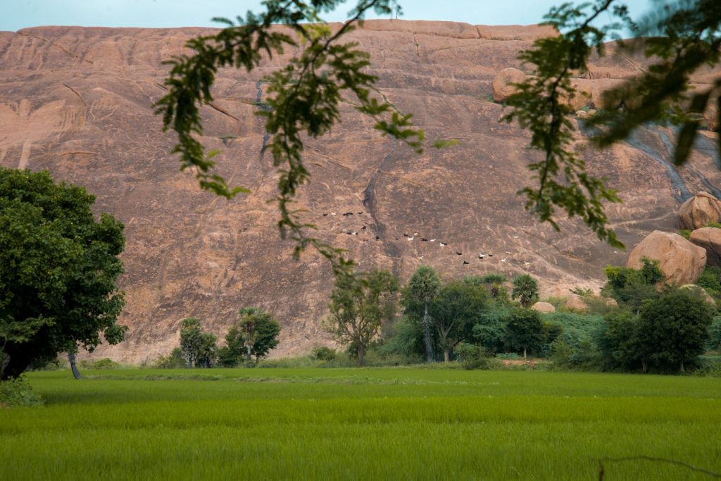 Arittapatti becomes first Biodiversity Heritage site in Tamil Nadu ...