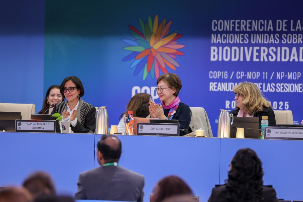 Countries agree to mobilize $200 billion funds every year by 2030 to ...