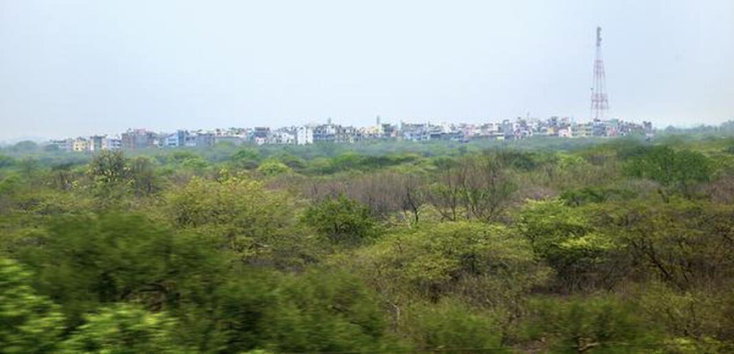 Delhi declares 41 sq km of southern ridge a reserved forest to boost ...